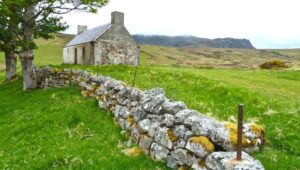 Only Four Local Authorities Have Awarded More Under Vacant Property ...