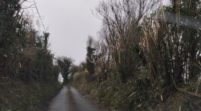 Ennis Man Furious Over 'Crude Amputation' Of Clare's Equivalent Of The ...