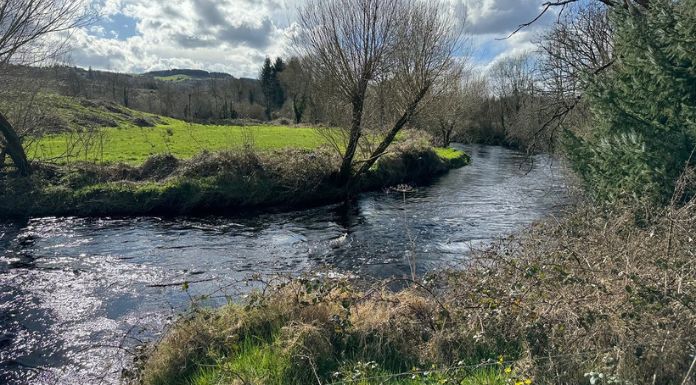 Government Accused Of "Abandonment By Default" Of East Clare Lands ...